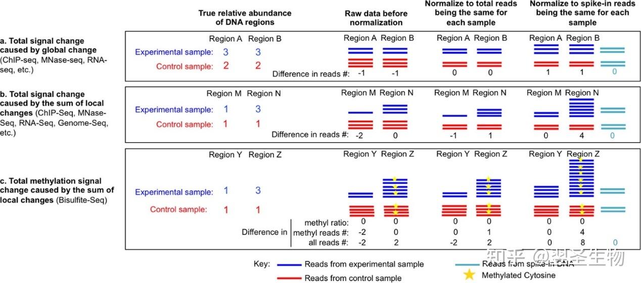 表观专题：你的CUT&tag加spike in了吗 - 知乎