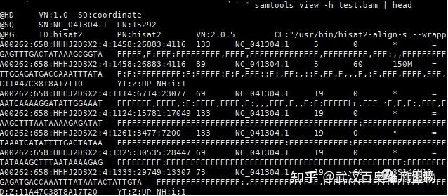 比对软件|Samtools - 知乎