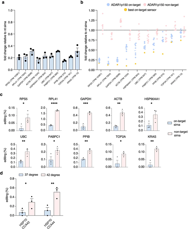 Nat Biotech | 可编程真核蛋白合成, 利用ADAR的RNA传感器 - 知乎