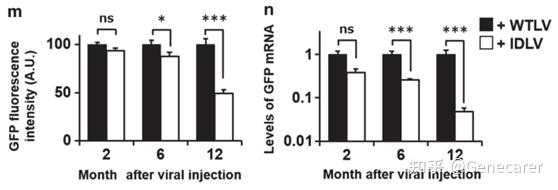 非整合酶慢病毒（IDLV）在动物模型构建中的应用举例 - 知乎