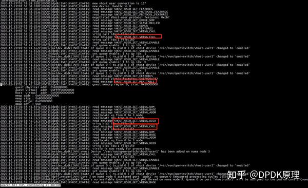 vhost dpdk 共享内存 - 知乎