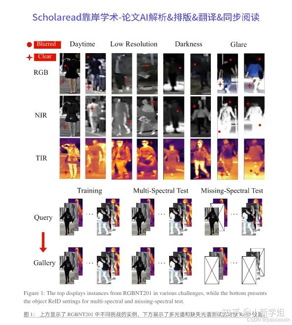 AAAI2024最佳解读|TOP-ReID Multi-spectral Object Re-Identification with ...