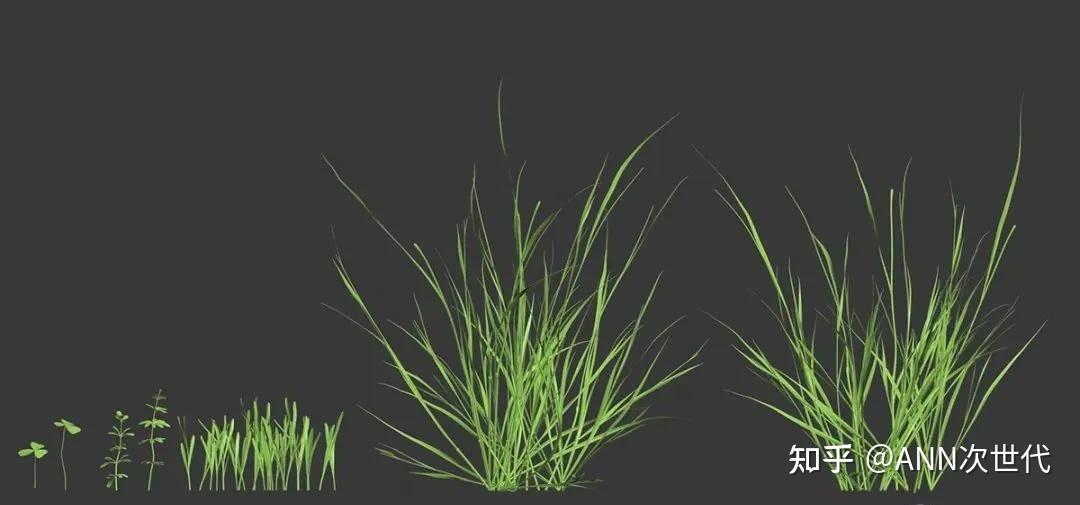 使用ZBrush，3ds Max和SpeedTree制作植被场景 - 知乎