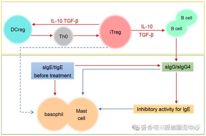 总IgE升高≠过敏！总IgE的真正临床意义是什么？ - 知乎