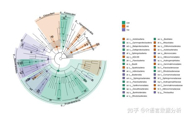LEfSe分析：R语言一条代码轻松实现 - 知乎