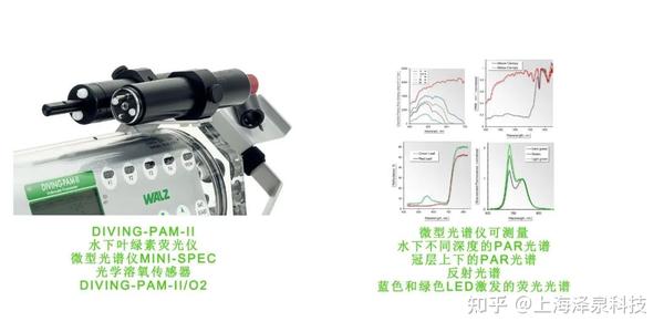 PAM叶绿素荧光仪最新应用文献速览 - 知乎