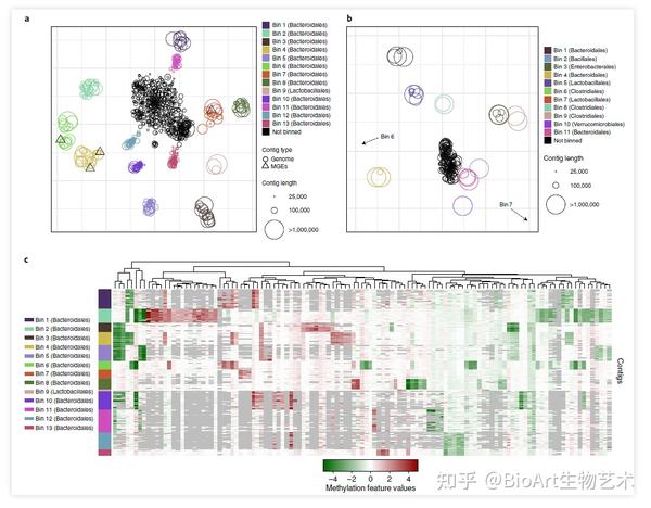 Nat Methods | 房刚团队开发新方法检测多种细菌DNA甲基化，助力细菌表观遗传学研究和菌群分析 - 知乎