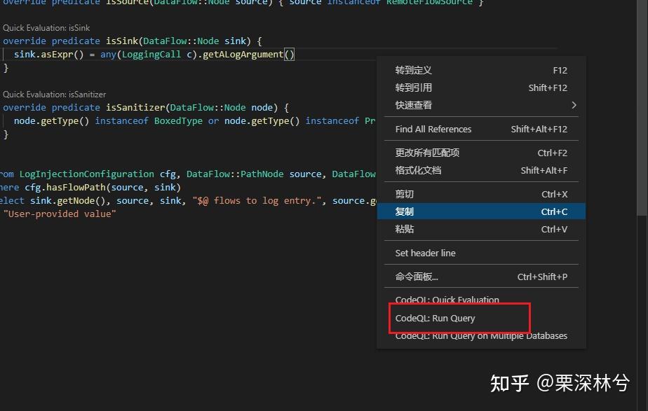 CodeQL基础知识 - 知乎