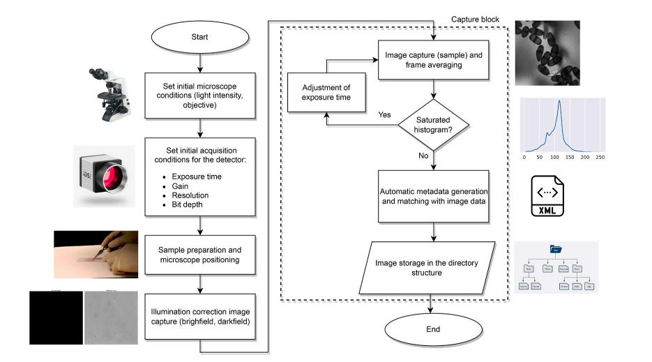 利用深度学习开发葡萄真菌孢子分类的显微镜图像数据集 - 知乎