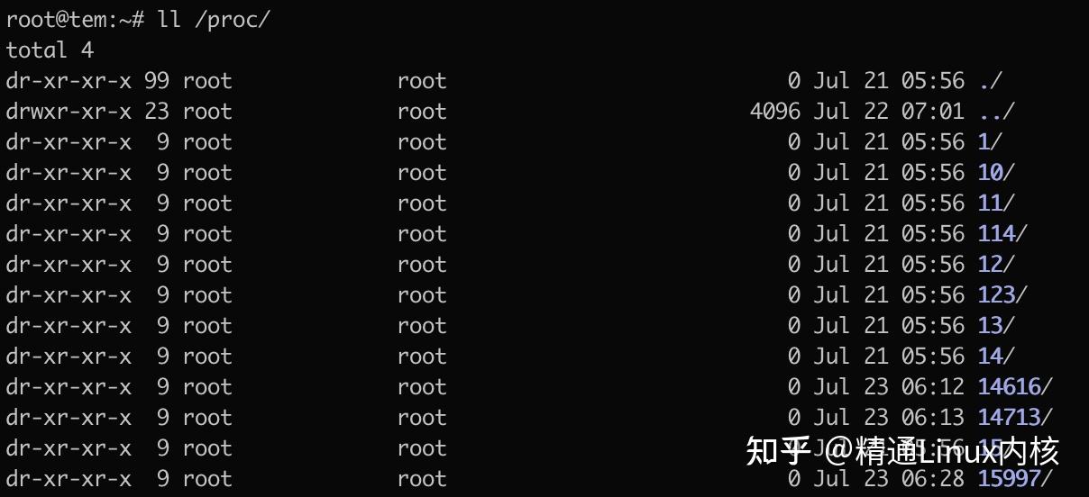 Linux内核：进程管理——进程文件系统 /proc详解 - 知乎
