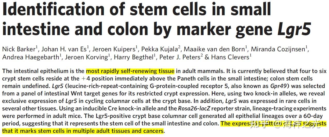 Hans Clevers-小肠干细胞marker Lgr5发现者 - 知乎