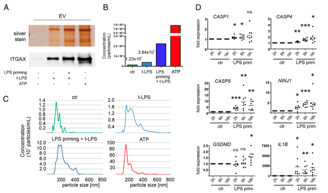 The Journal of Immunology丨脂多糖引发人巨噬细胞非典型炎性体诱导的细胞外囊泡分泌 - 知乎