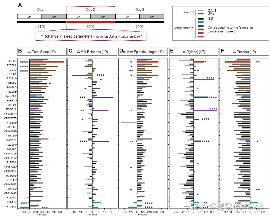 J Neurosci︱深圳先进院刘畅课题组揭示果蝇椭球体环状神经元亚型在睡眠调控中的特异性作用 - 知乎