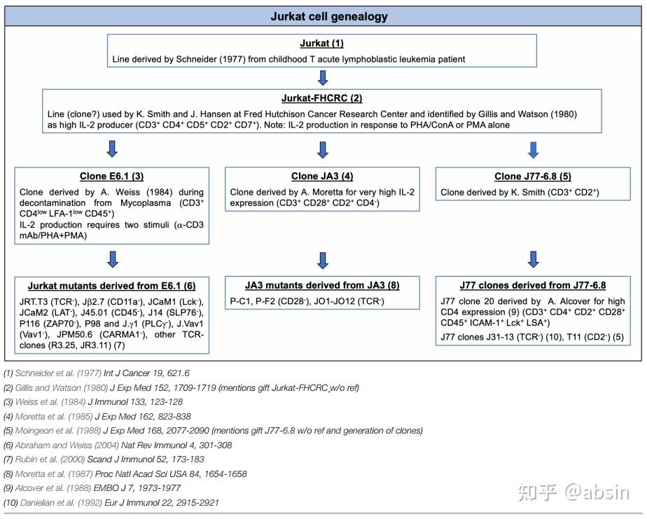 Jurkat（Clone E6-1）细胞培养攻略 - 知乎