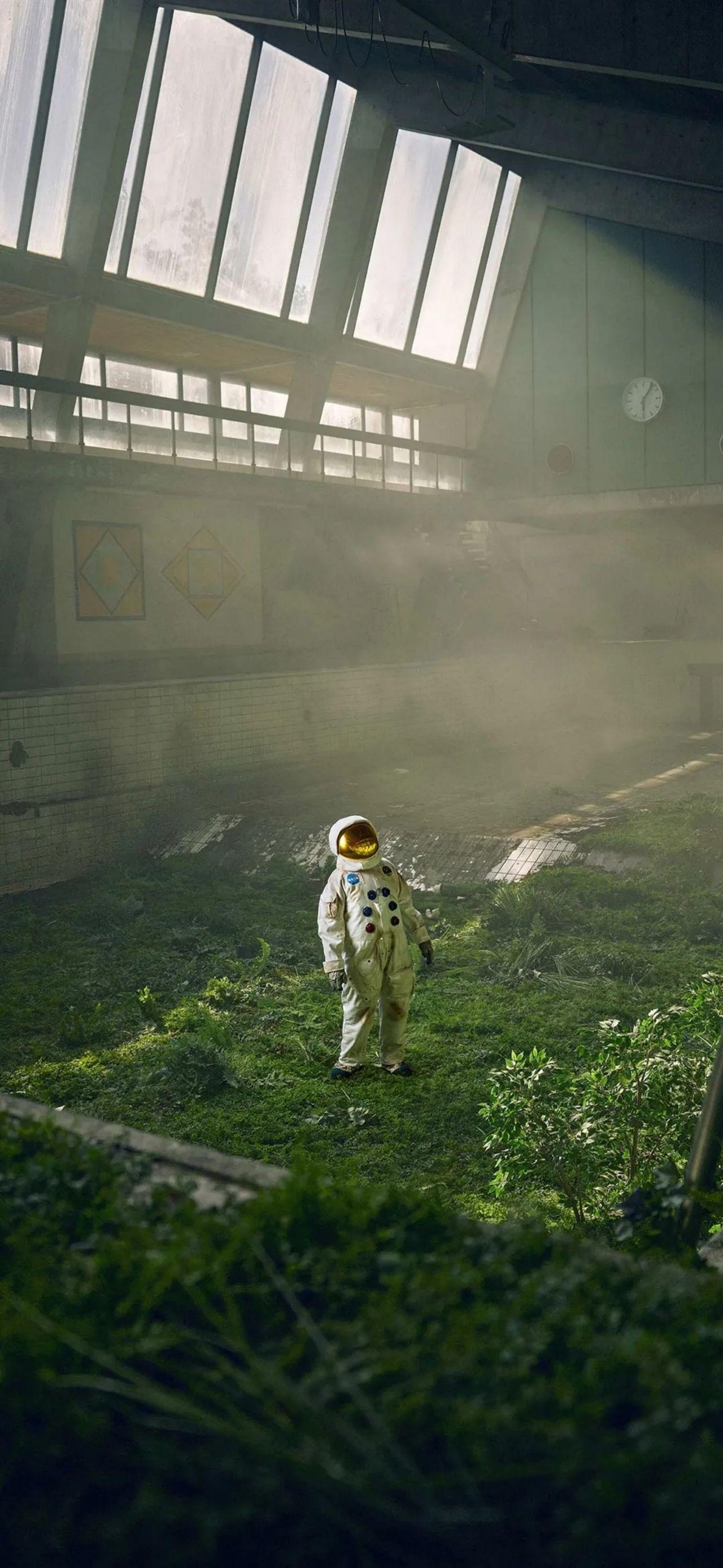 4K超高清全面屏手机壁纸第八期（艺术创意） - 知乎