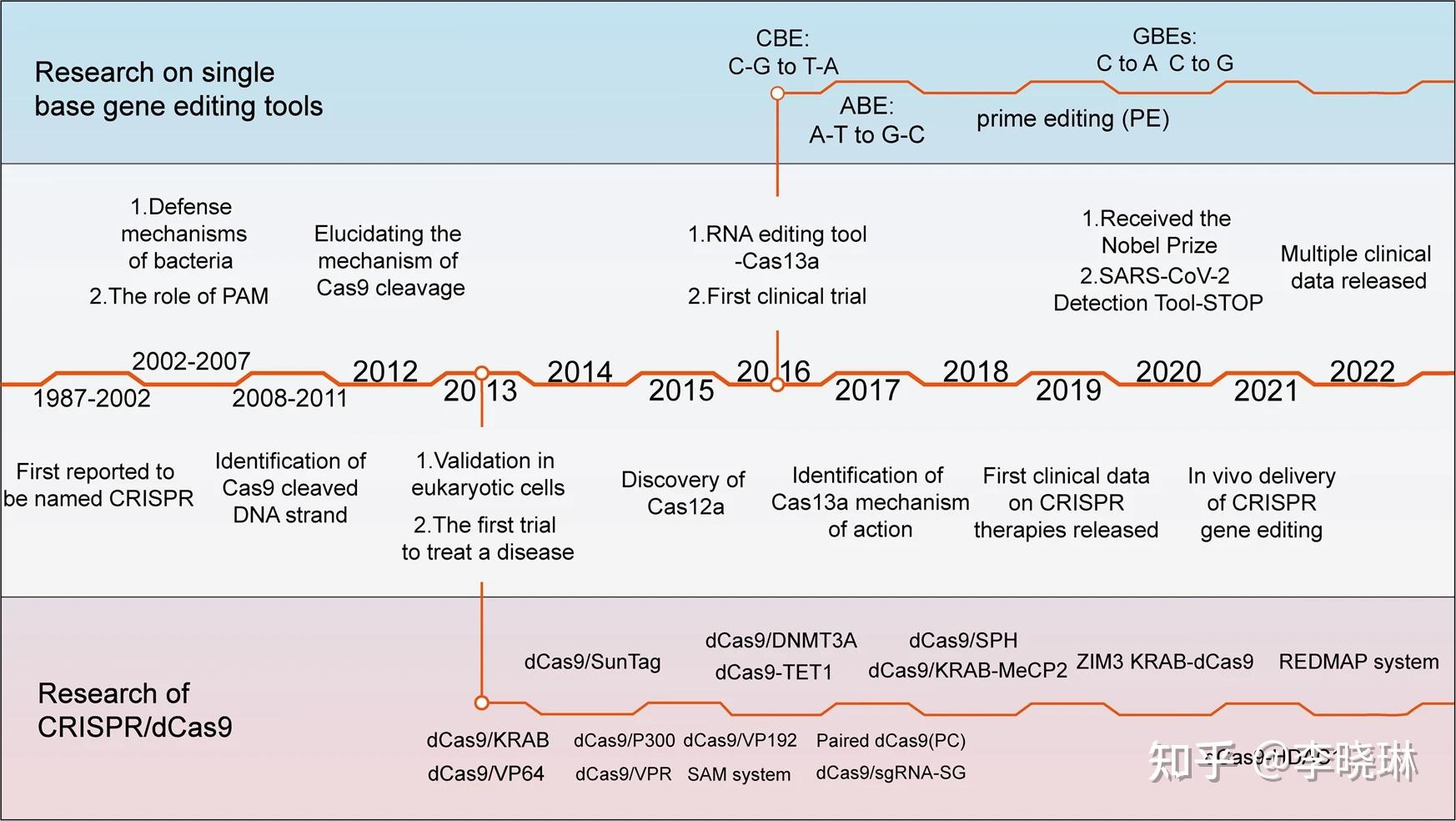 •基因组编辑技术——CRISPR/Cas9技术 - 知乎