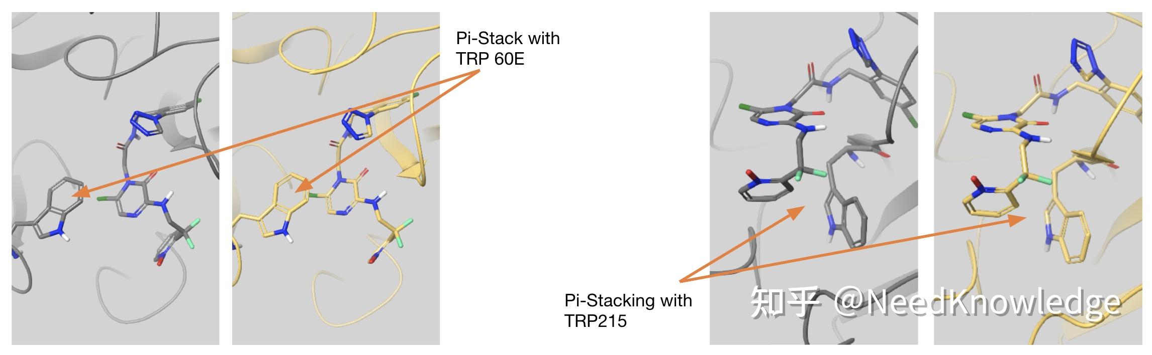 Schrödinger教程 | Cross-docking with IFD-MD - 知乎