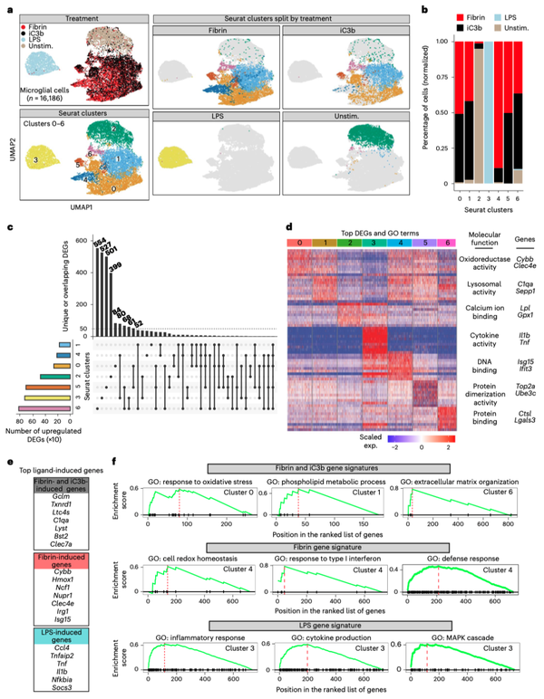 Nature Immunology丨通过多组学分析确定血液诱导的小胶质细胞在神经变性中的功能 - 知乎