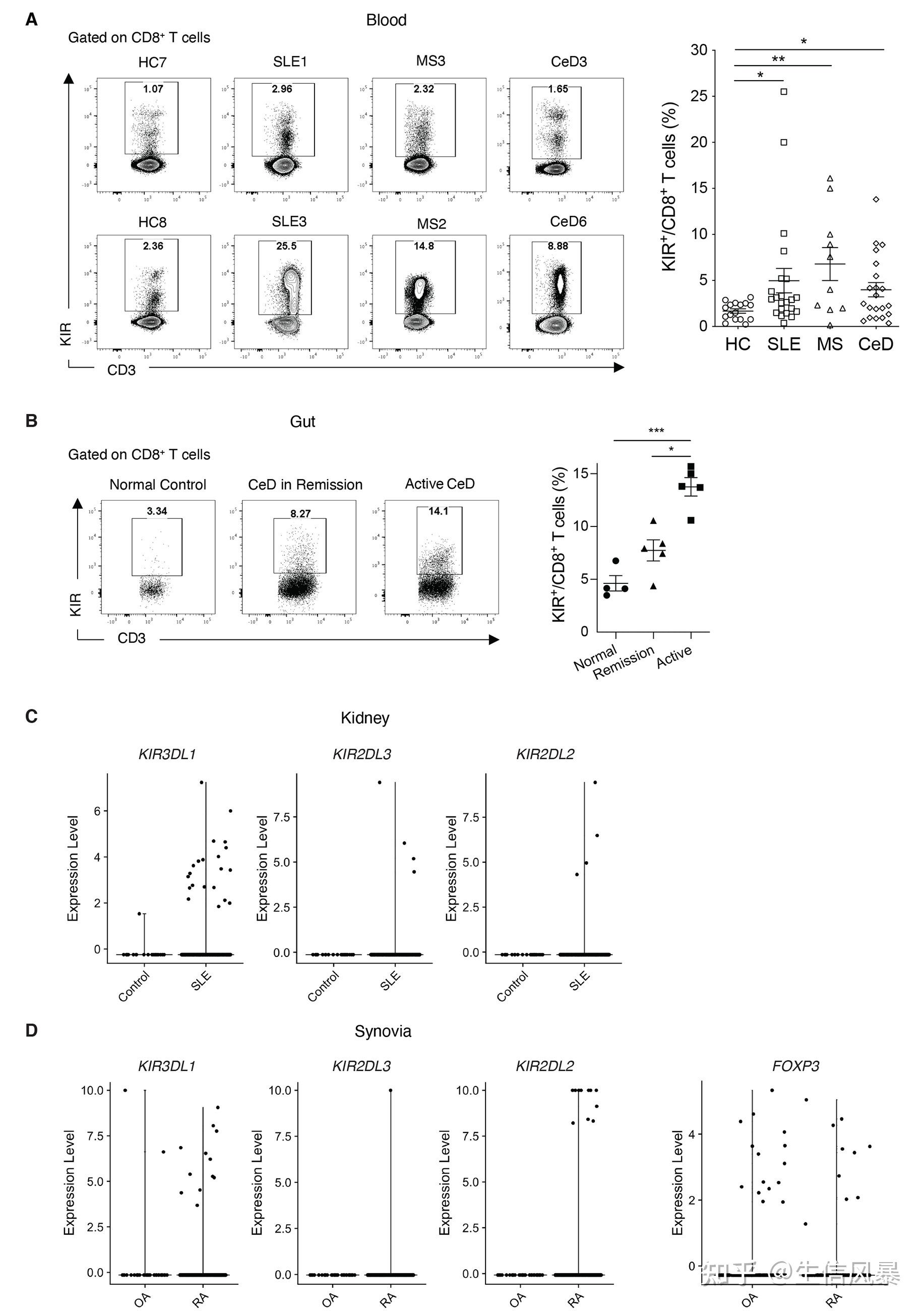 Science:KIR+CD8+T细胞抑制致病性T细胞，并在自身免疫性疾病和COVID-19中具有活性 - 知乎
