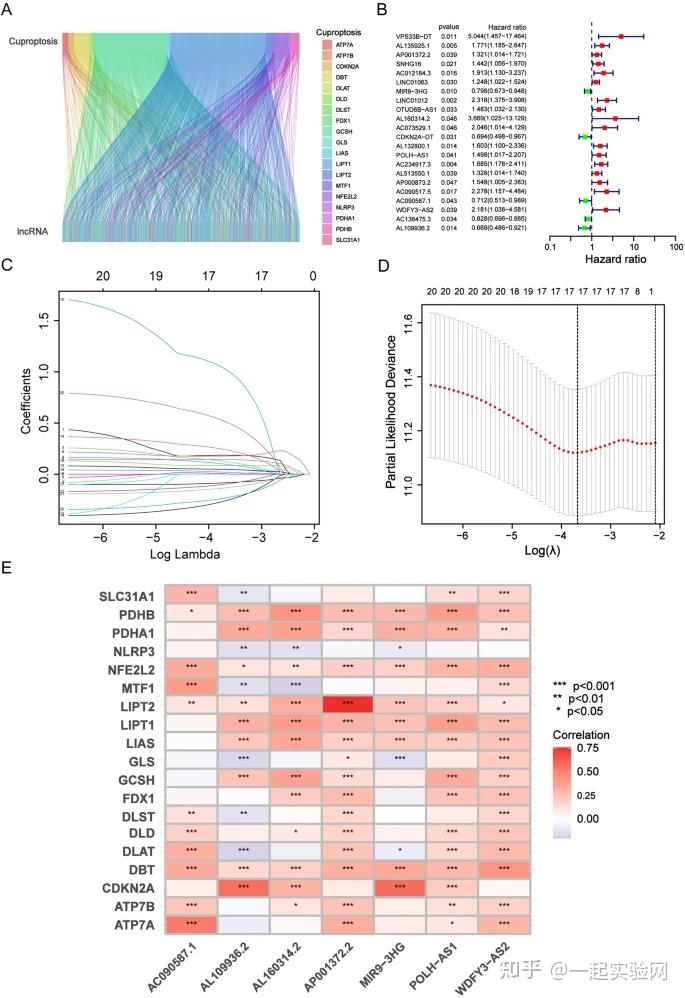 6+ 铜死亡：头颈部鳞状细胞癌生物标志物 - 知乎