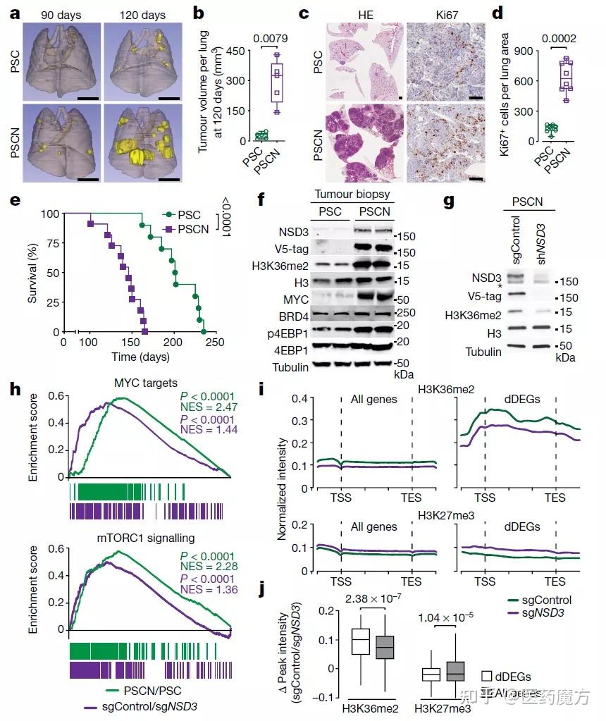 两篇Nature抗癌新突破：表观遗传新靶点——NSD3 - 知乎