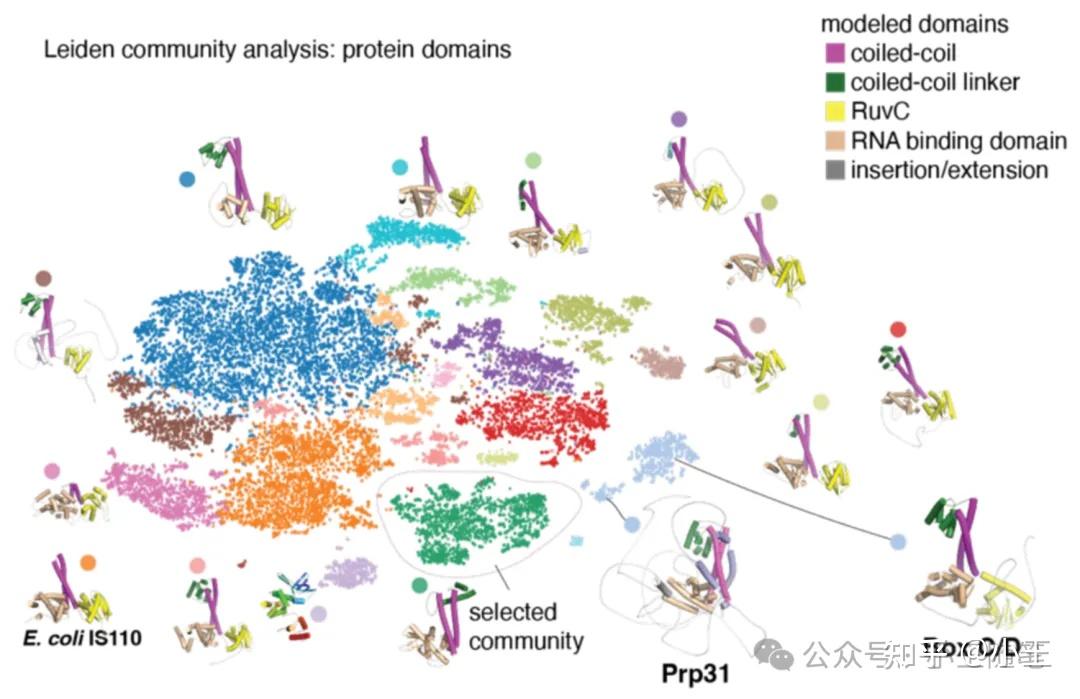 张锋发现新RNA引导系统TIGR-Tas：挖掘详述 - 知乎