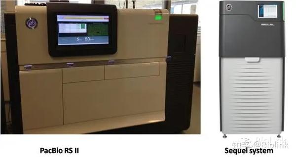 威风凛凛的三代SMRT测序(Pacific Biosciences) - 知乎
