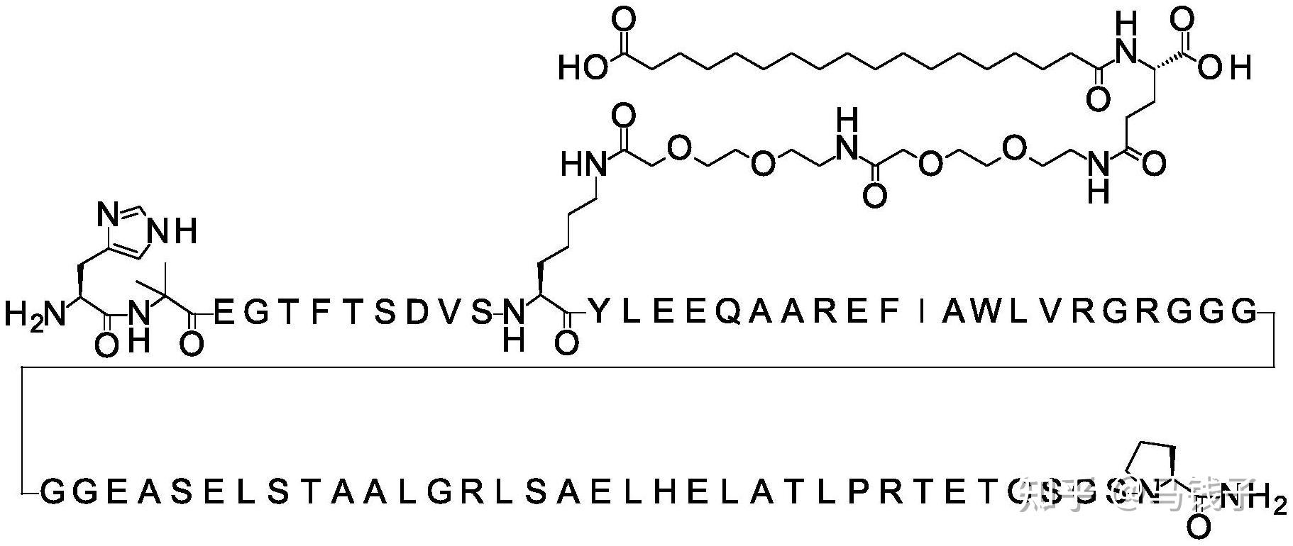 创造奇迹的神药——口服GLP-Amycretin超越司美格鲁肽？ - 知乎