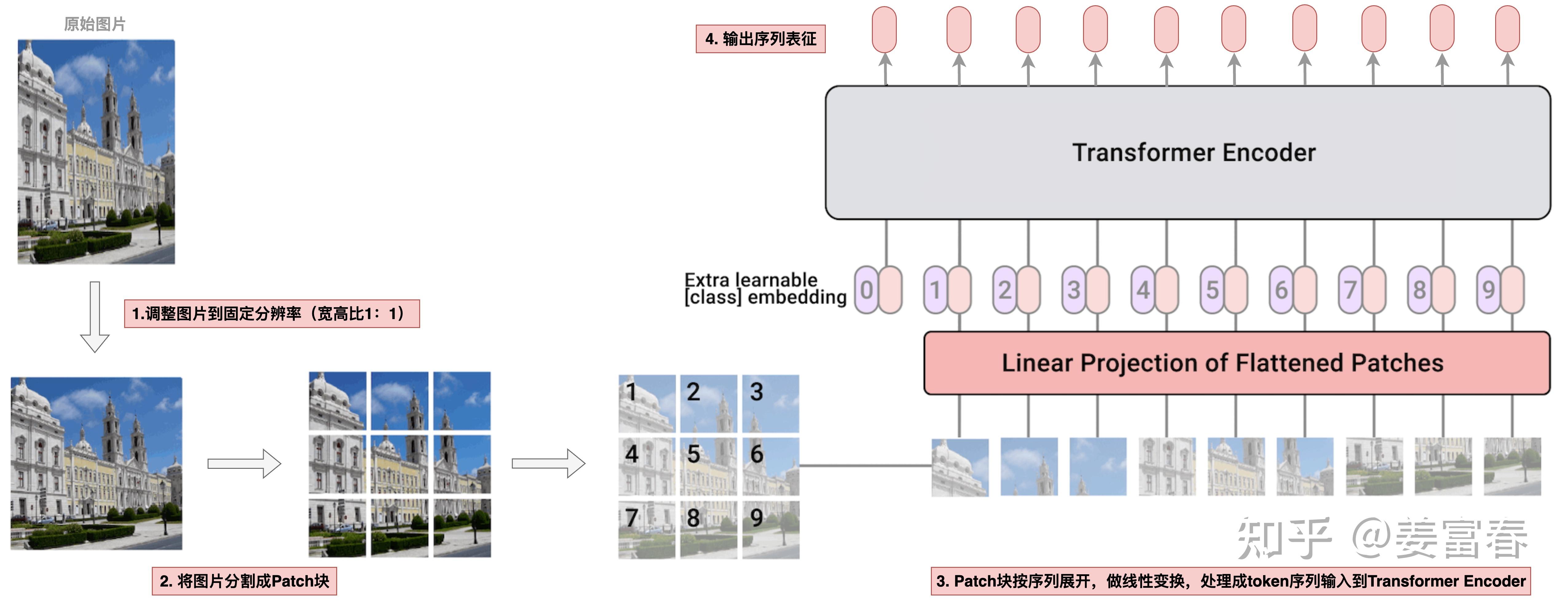 多模态技术梳理：ViT系列（ViT, Pix2Struct, FlexiViT, NaViT ） - 知乎
