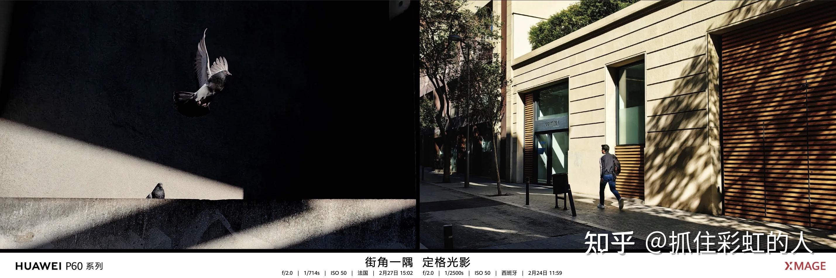 2024年华为p60,p60 Pro,p60 Art三款机型怎么选?很纠结 知乎