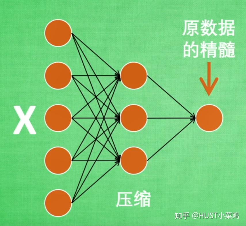 Pytorch搭建自动编码器(autoencoder)用于非监督学习 知乎