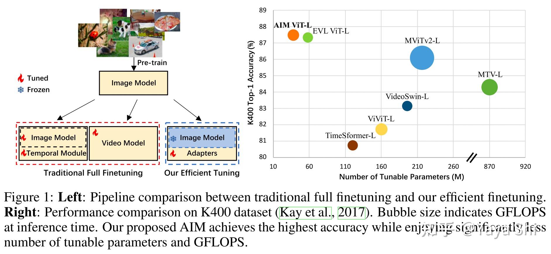 [论文阅读] Aim Adapting Image Models For Efficient Video Action