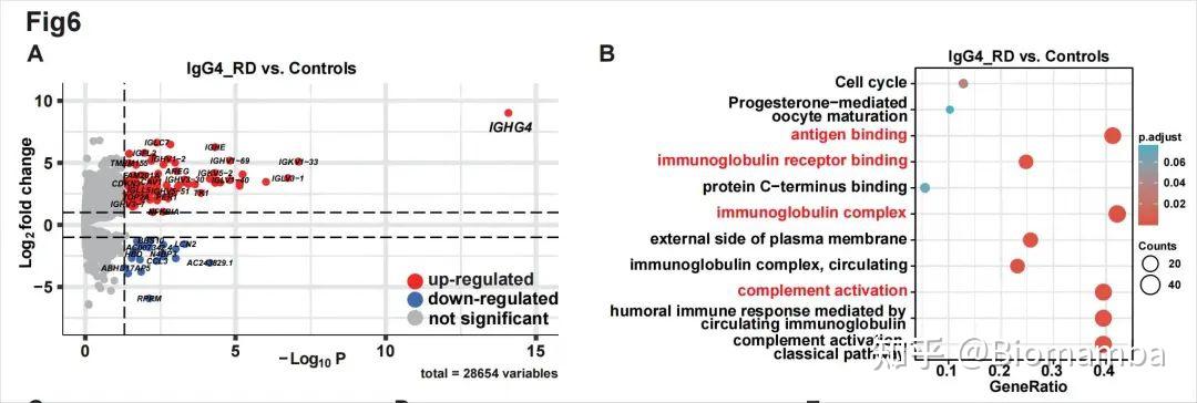 IgG4相关性疾病中颌下腺和血液中的细胞和分子改变 - 知乎