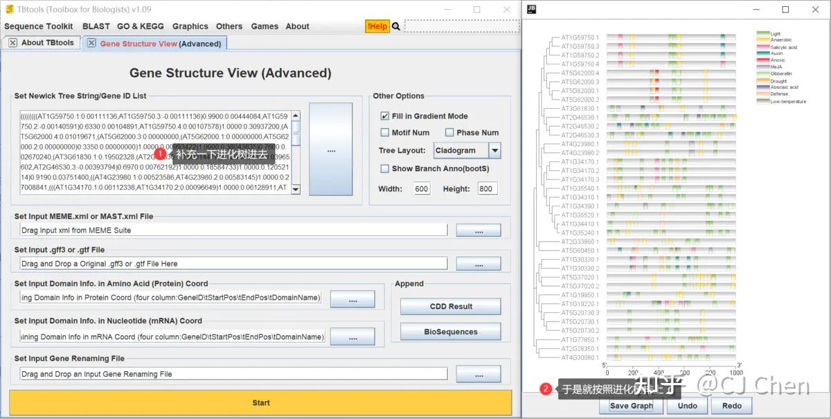 TBtools | 多图合一至强版教程！进化树 + Motifs + 结构域 + 启动子 + 基因结构 + .... - 知乎
