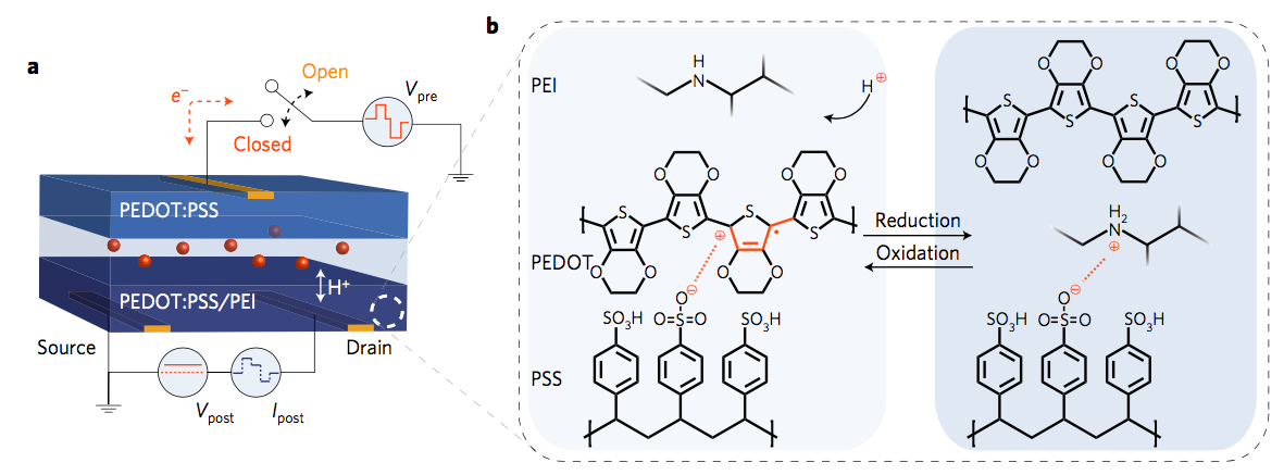 聊一聊OECT在人工智能时代的应用 - 知乎