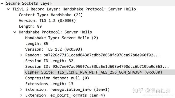 网络协议之TLS协议(1)抓包分析SSL/TLS握手 - 知乎