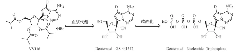 『小雪原创』初步探索民得维/VV116的肝肾毒性 - 知乎