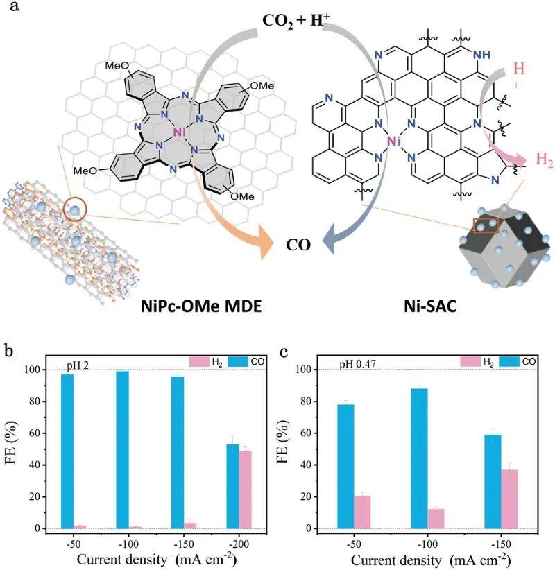 南科大梁永晔AEM：选择性近100%！分子催化剂助力酸性电解质中CO2还原 - 知乎