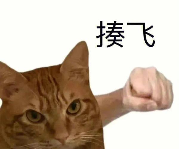 发疯发癫的表情包 - 知乎