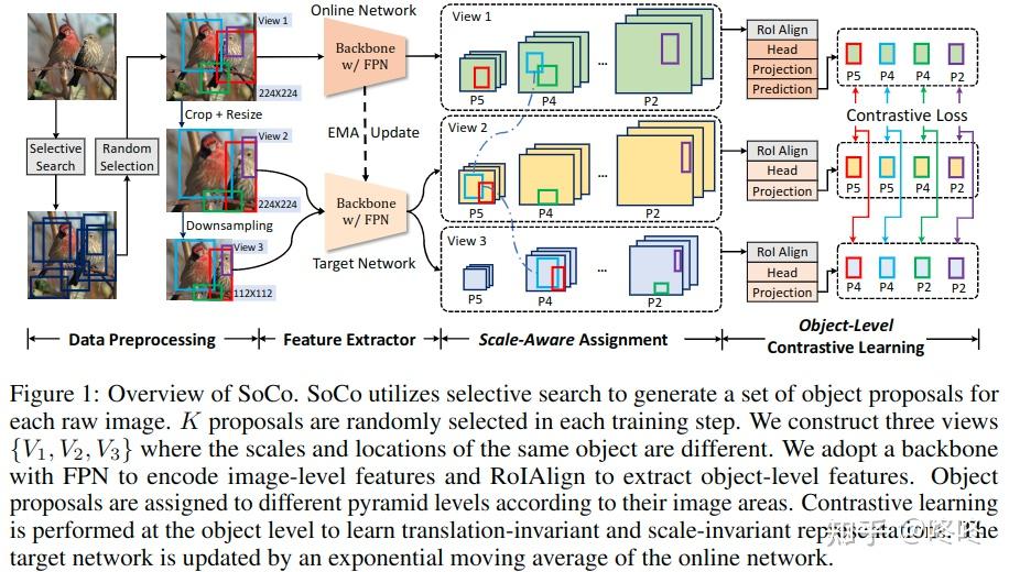 SoCo：对象级对比学习目标检测预训练算法（NeurIPS2021） - 知乎