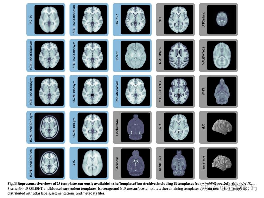 每日文摘 | 2022年12月05日 - 知乎