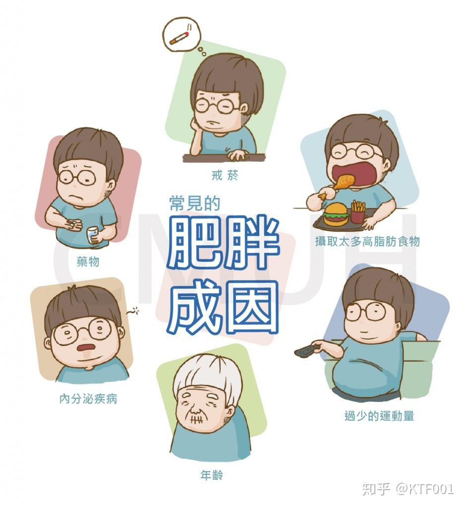 减肥原理和注意事项 知乎
