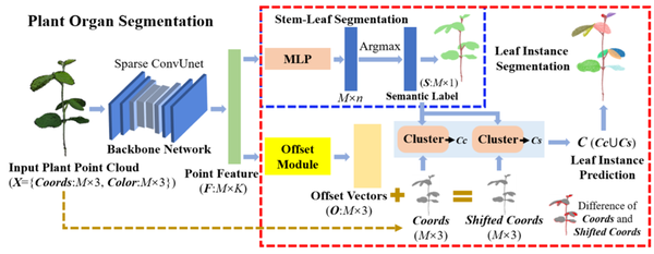 Eff-3DPSeg：使用高效注释点云的三维器官级植物芽分割 - 知乎