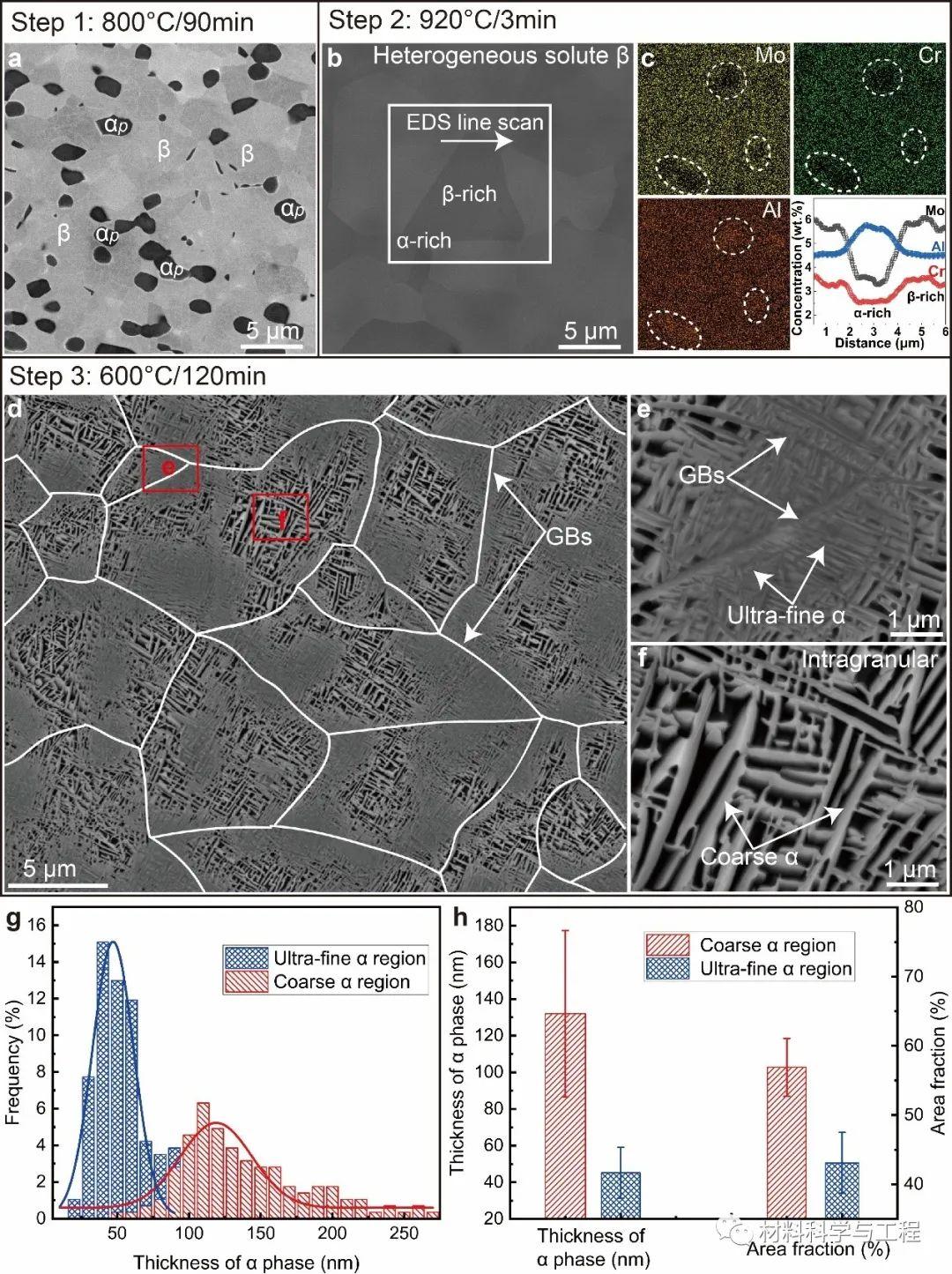 中南大学《Acta Materialia》：异质结构实现钛合金强塑性协同提升！ - 知乎
