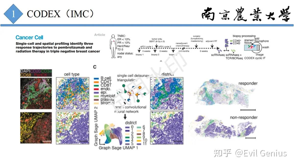 第26课PPT--CODEX（IMC、mIHC）基础分析梳理 - 知乎