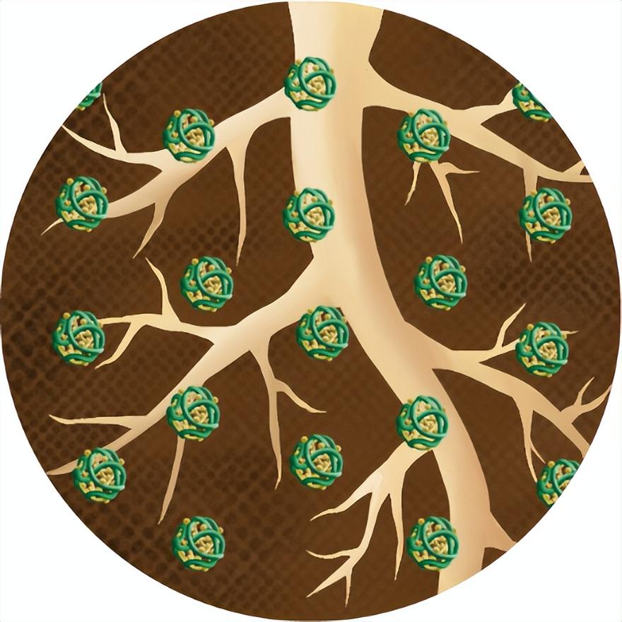 知耕Tech｜聚合物纳米递送系统实现与生物和化学成分的“三效合一”，推动农药施用降本增效 - 知乎