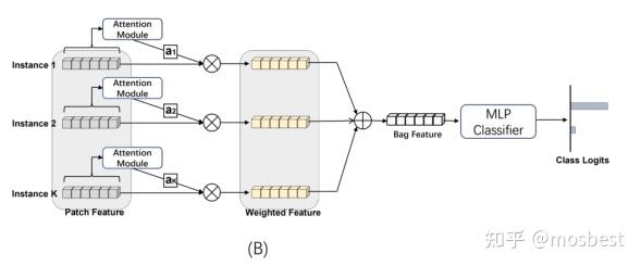 DTFD-MIL：组织病理学全玻片图像分类的双层特征提取多实例学习 - 知乎