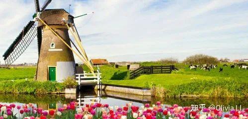 去荷兰留学有哪些学校可以选？ - 知乎