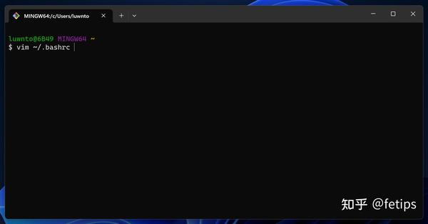 Windows安装Zsh终端 - 知乎
