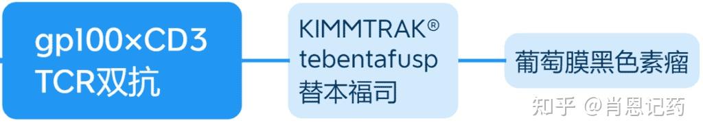 记住所有FDA生物药 | gp100×CD3 TCR双抗 | Tebentafusp 替本福司 | 葡萄膜黑色素瘤 - 知乎